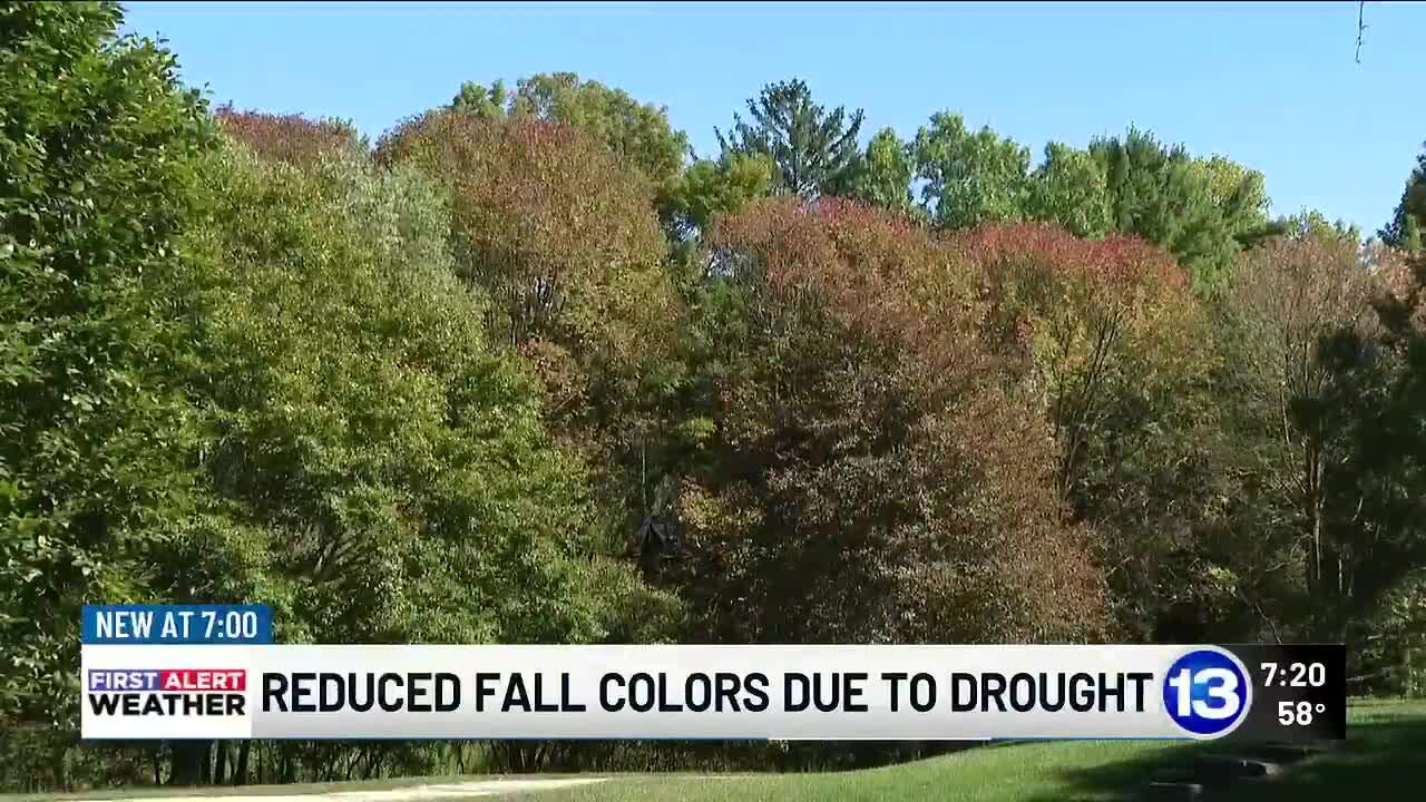 Reduced fall colors due to the drought conditions