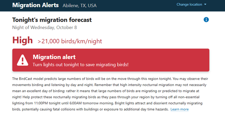 Bird Migration in the Big Country: Millions of birds soar overhead