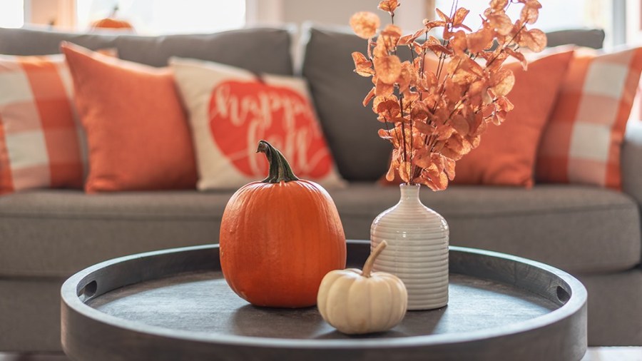 Thursday forecast: Quiet, mostly sunny fall day in Chicagoland, with ...