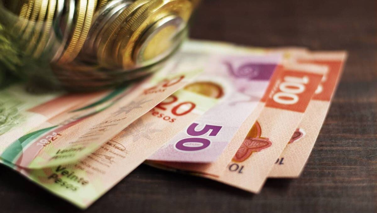 Este año será clave para fortalecer la inversión: Ceesp