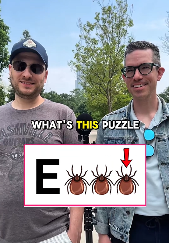 Try Solving This Clever Puzzle – Can You Figure It Out?