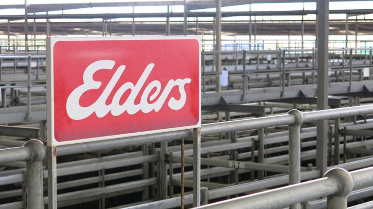 Competition watchdog approves Elders' $475m acquisition of agribusiness ...