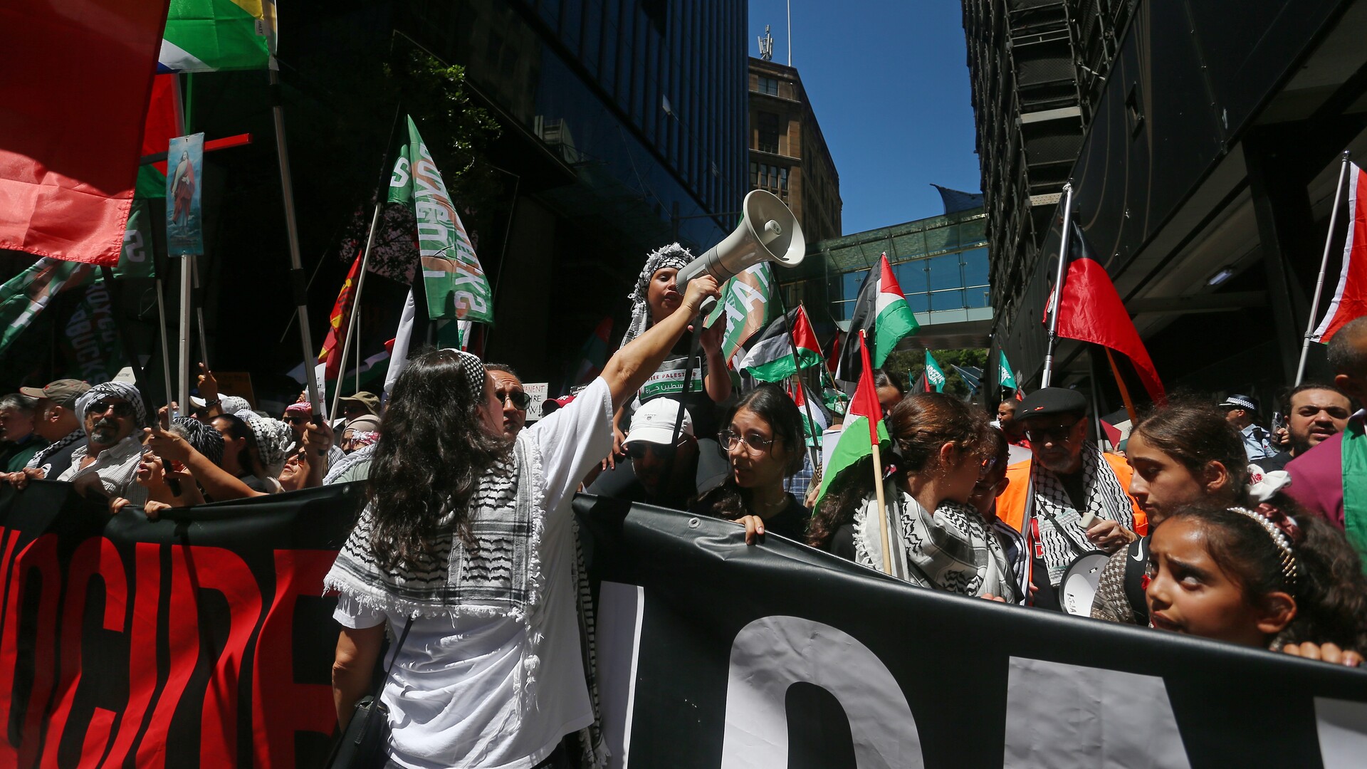 ‘What will they protest now?’: Pro-Palestinian activists hit at for ...