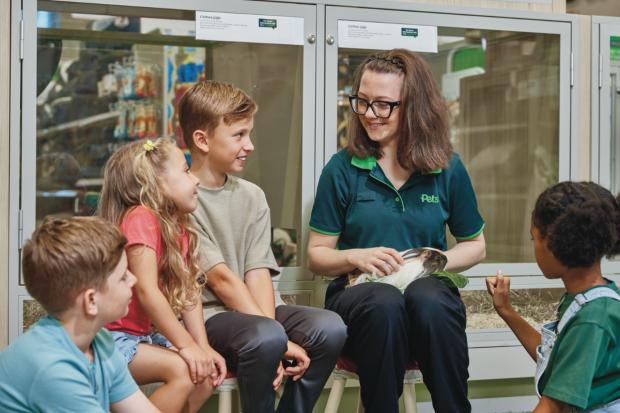 Pets at Home in Basingstoke to bring back half-term Halloween workshops
