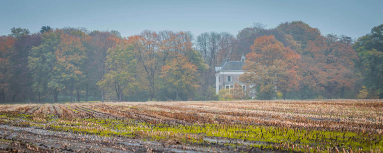 Landgoed Dickninge: wandelen tussen herfstkleuren in Drenthe