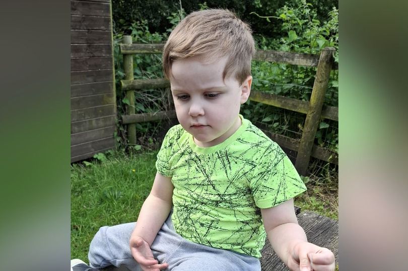 Mum slams council as autistic Daniel, 6, goes to school for just one ...