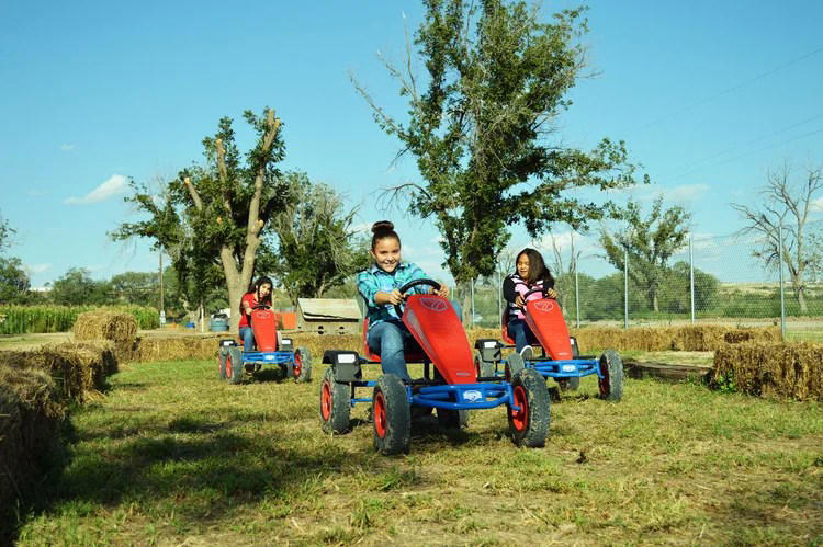 Enjoy corn mazes, Chalk the Block and Halloween Town market this weekend