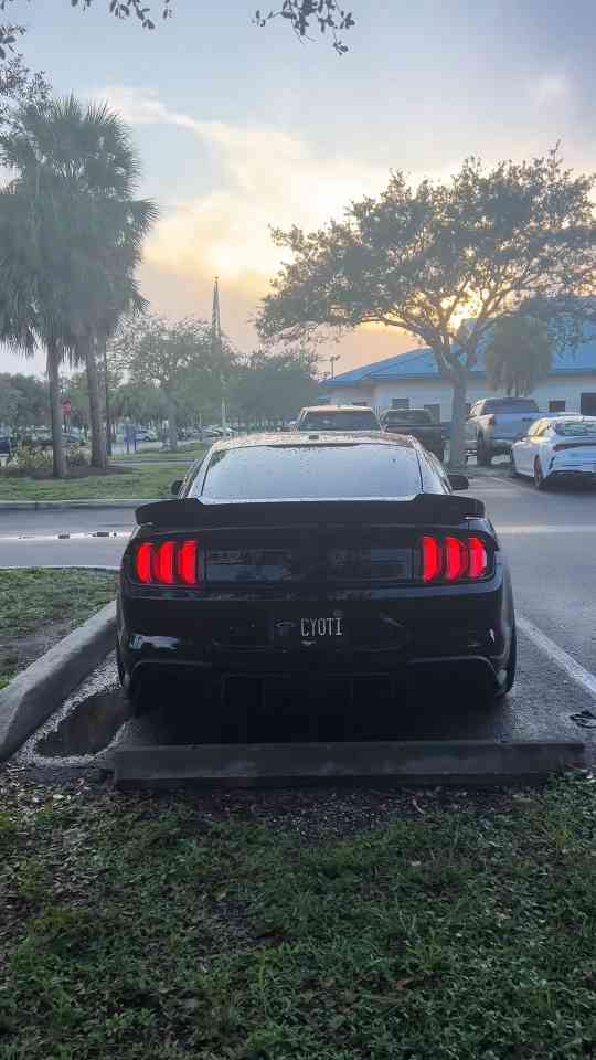 The Mustang Moment – Roar, Shine, Repeat