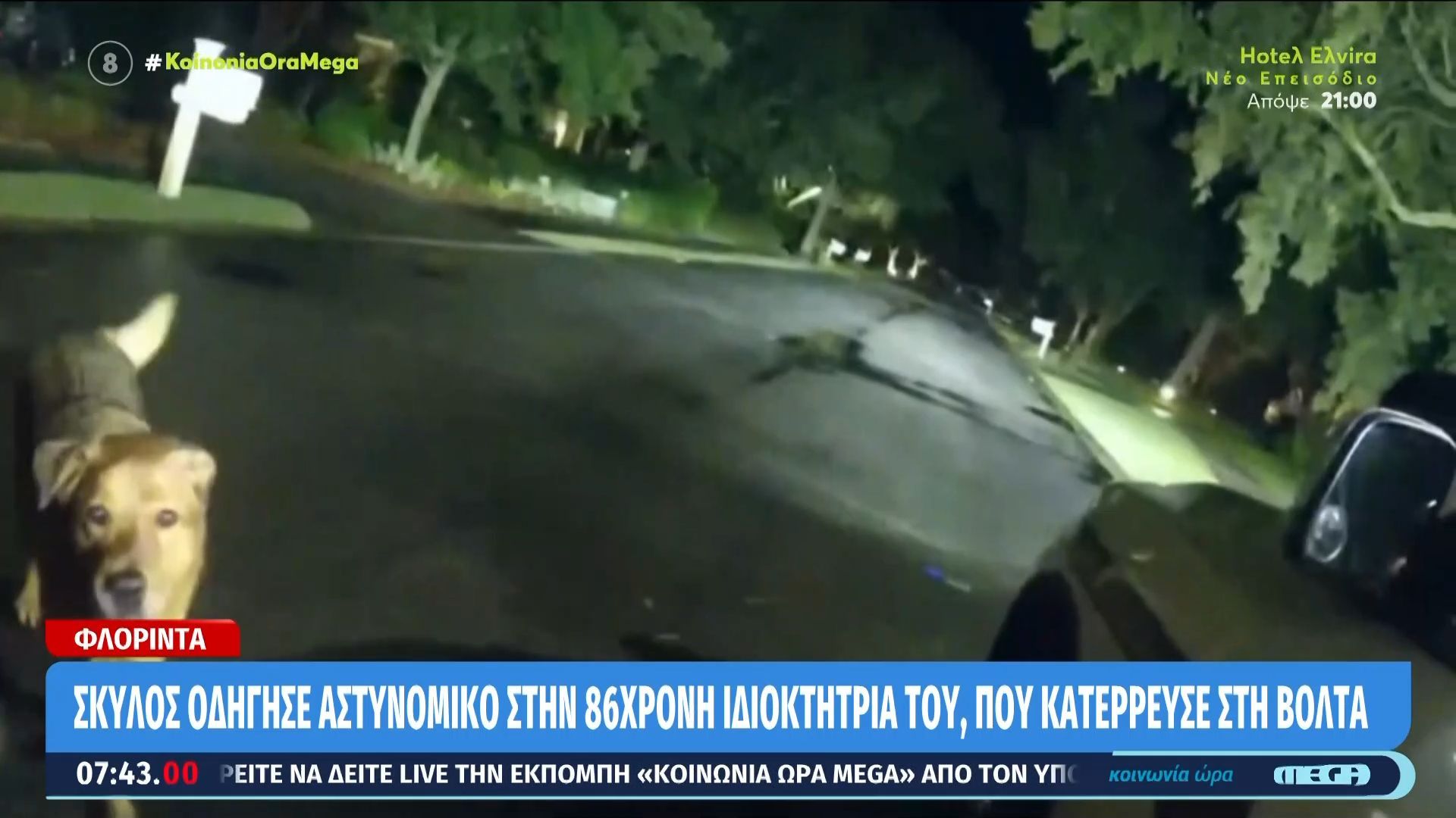ΗΠΑ: Σκύλος οδήγησε την αστυνομία στην λυπόθυμη 86χρονη ιδιοκτήτριά του