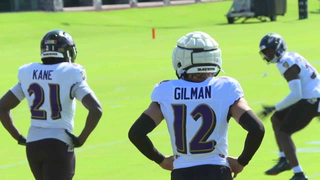 Ravens add 2 DBs, welcome back Hamilton and Stanley