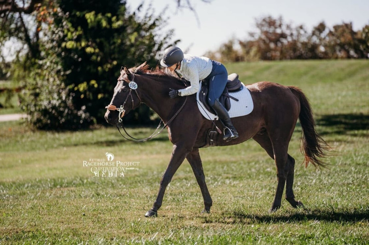 Applications open for 2026 Thoroughbred Makeover