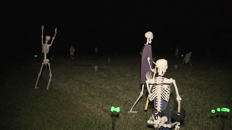 'Skeletons in the outfield': Paw Paw woman's Halloween display combines ...