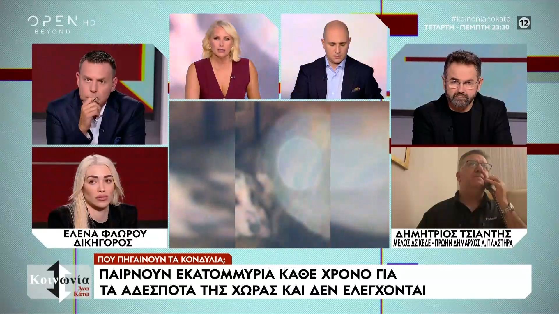 Αδέσποτα ζώα: καταδίκες για κακομεταχείρισή σε δυο δήμους