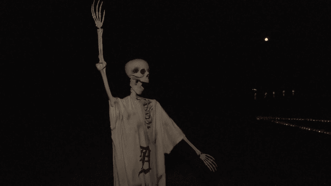 'Skeletons in the outfield': Paw Paw woman's Halloween display combines ...