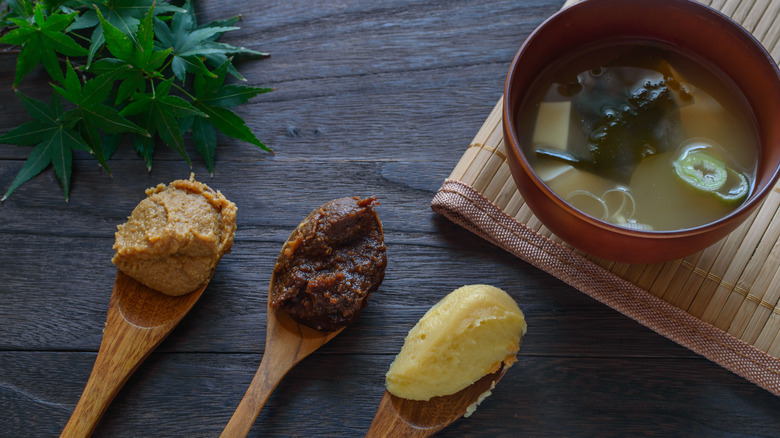 Everything You Need To Know About Miso