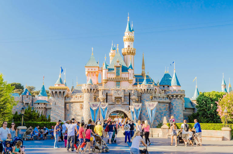 Disneyland’s Latest Crackdown Targets "Disney Adults" Charging $75,000 ...