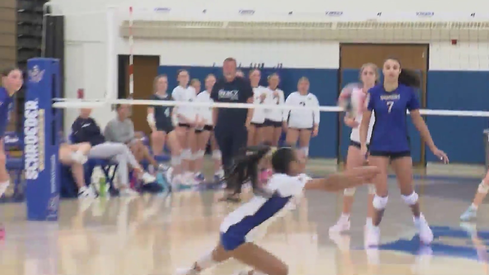 The unlikely star of Webster Schroeder