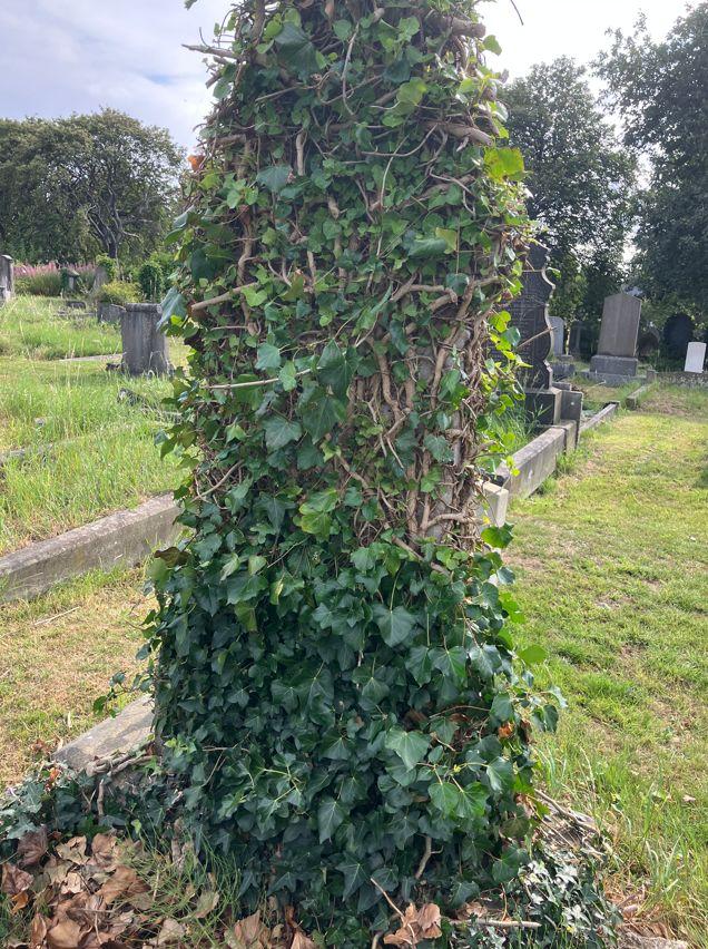 Offenders work to transform Newcastle’s largest cemetery