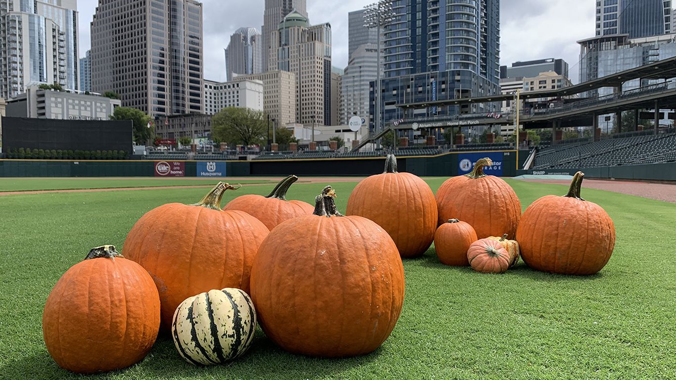 Weekender: 35 things to do in Charlotte this weekend including fall festivals and live music