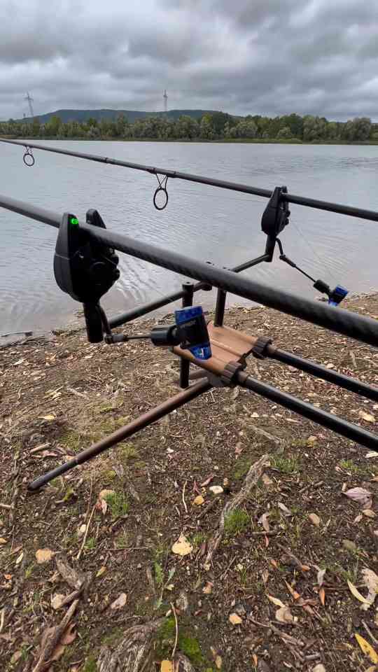 Top Fishing Moments You Have to See to Believe