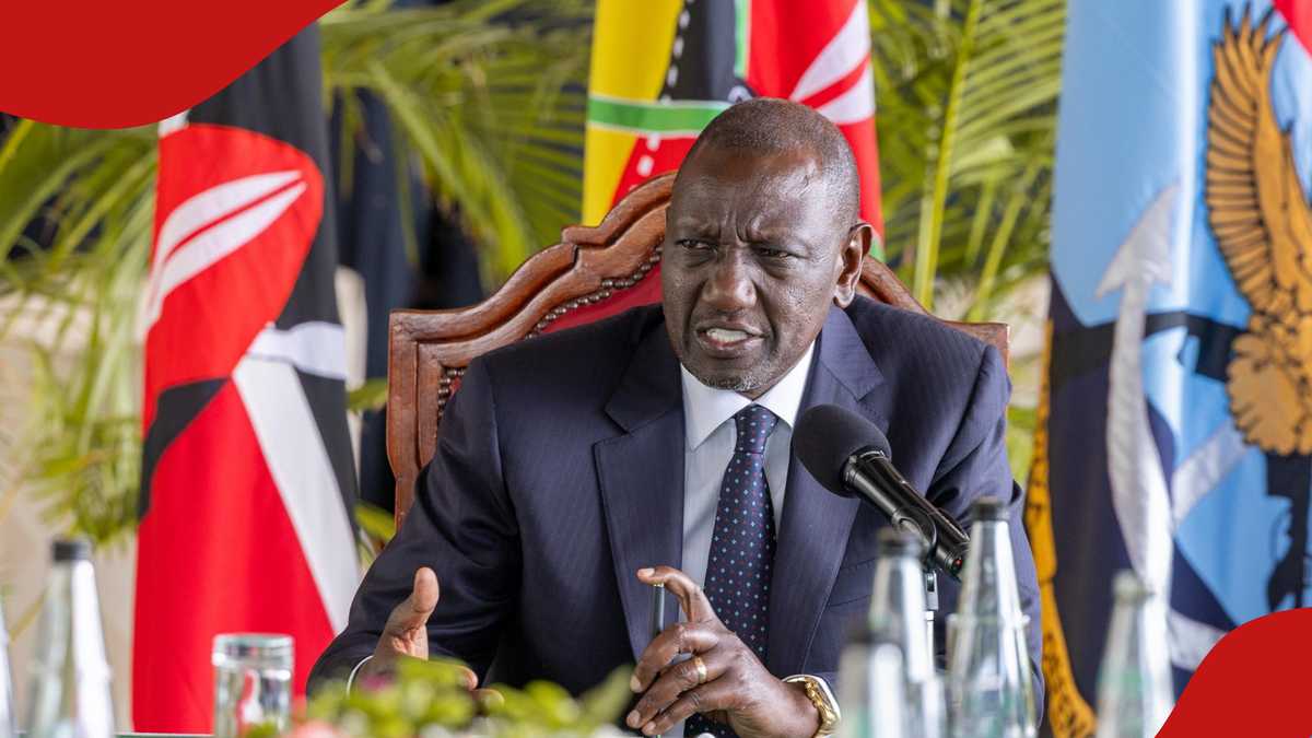 William Ruto lambasts IMF, World Bank, backs African bank with KSh 12.9 ...