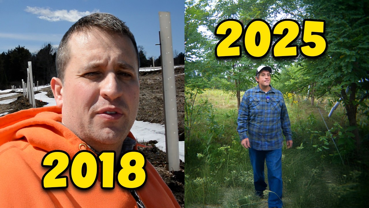 Why I left the city for a full farm life adventure