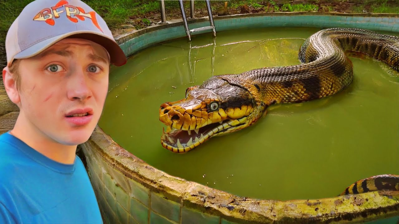 Exploring An Abandoned Pond Crawling With Deadly Snakes