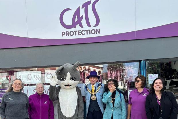 Cat Protection charity shop celebrates ten-year milestone in Westcliff