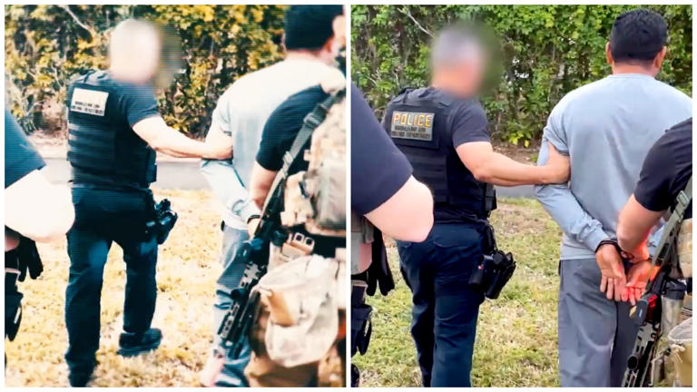 Trump and White House Busted Using Florida Palm Tree Footage to Show ...