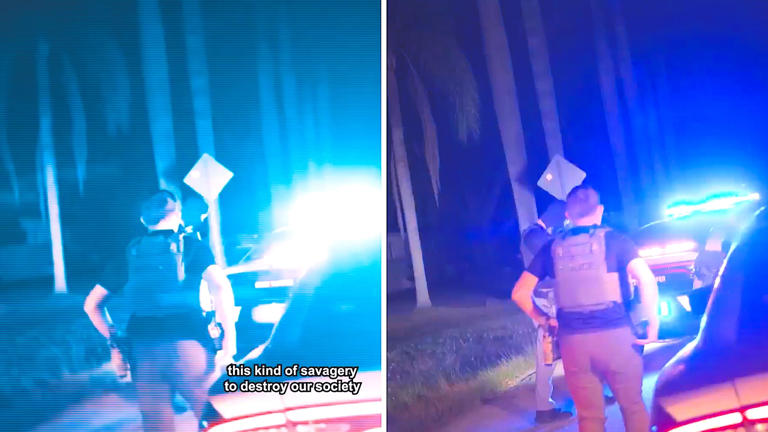 Trump and White House Busted Using Florida Palm Tree Footage to Show ...