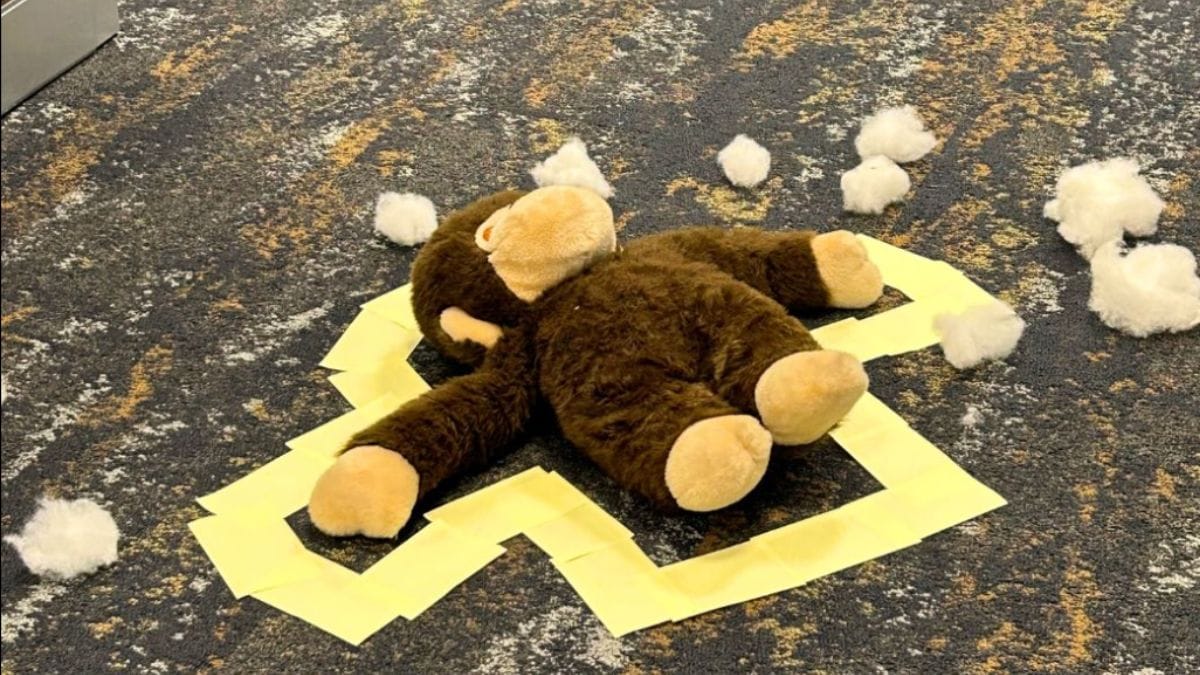 Police investigate assault on toy monkey and prime suspect is one of ...