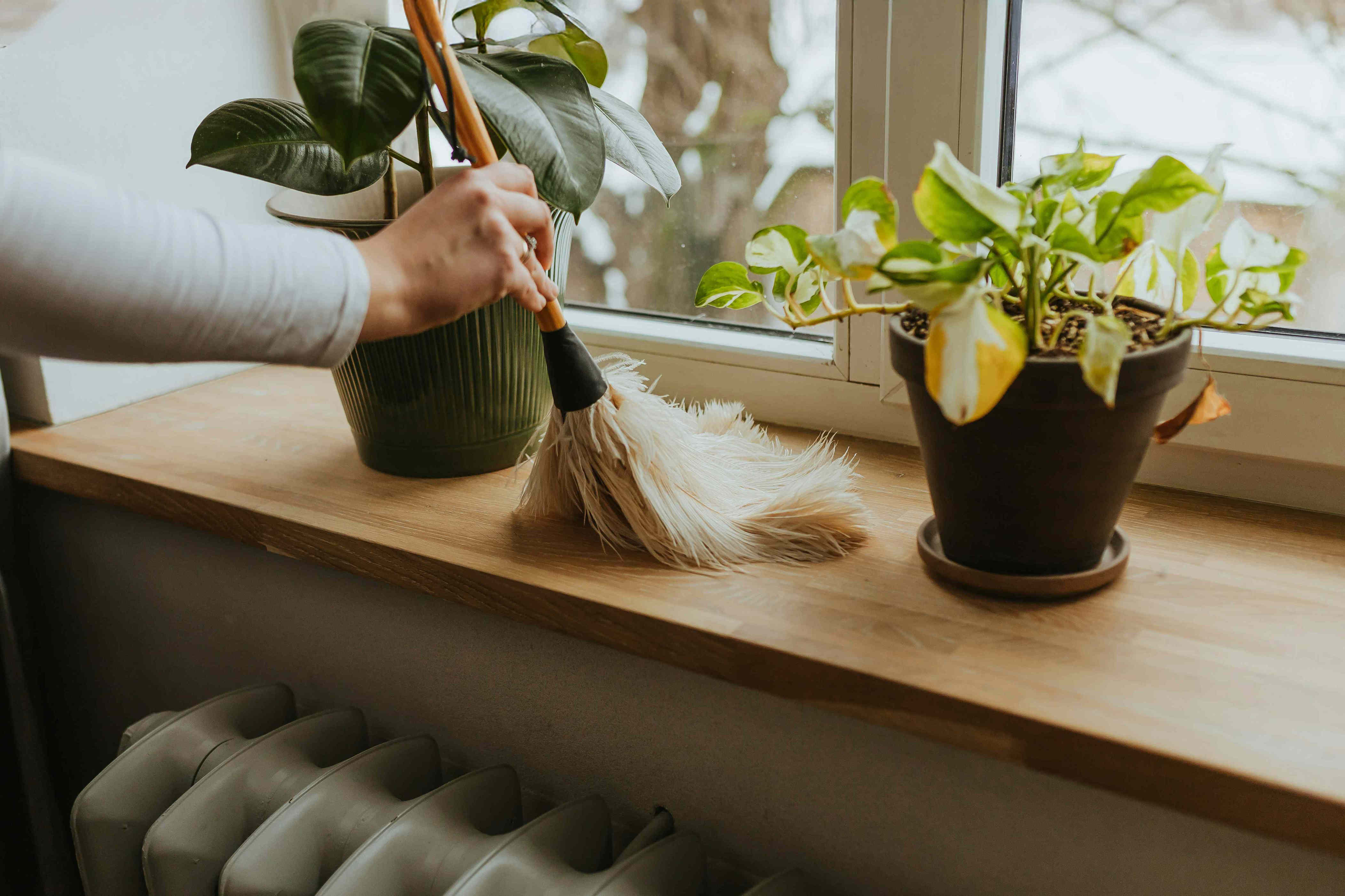 8 easy tricks to get rid of dust in your home for good, from cleaning pros