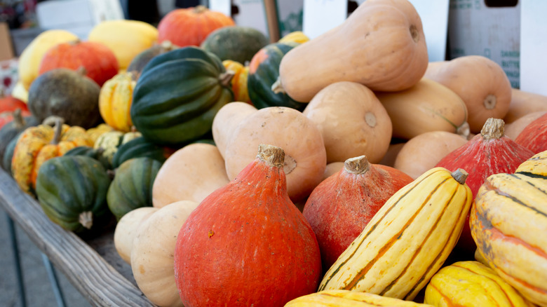 12 Tips For Picking The Best, Freshest Squash At The Grocery Store