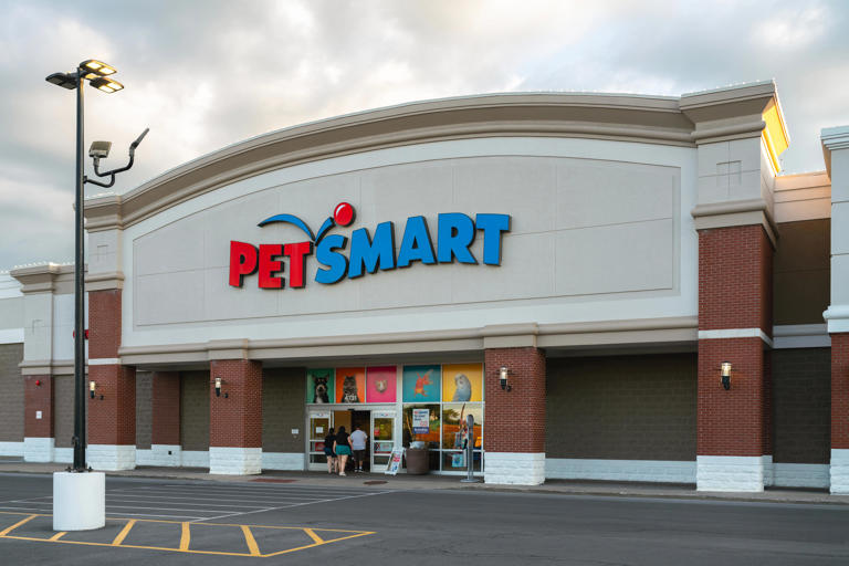 Police: Dallas woman killed outside PetSmart after argument over not ...