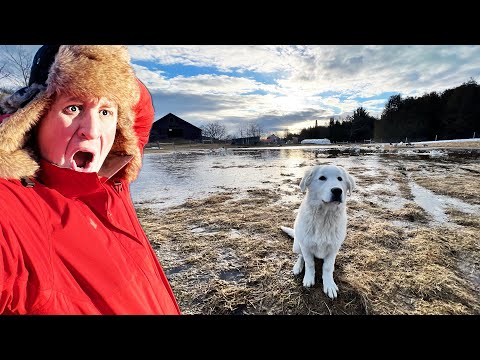 Our farm flooded but recovery is underway