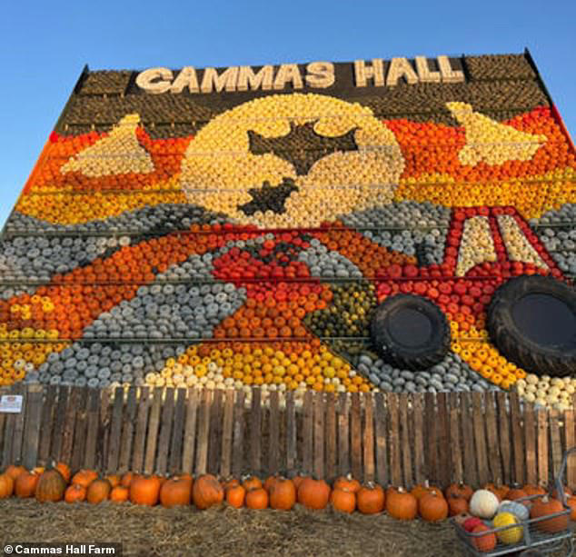 The UK pumpkin patch that has 50 varieties and a 'pumpcano' - and it's ...