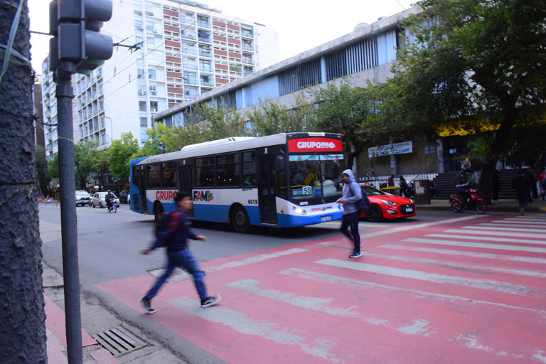 Chau Red Bus: cómo es la nueva tarjeta que funcionará para el ...