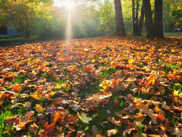Es wird kalt in München: Nach ruhiger Wetter-Phase steht dann wohl ...