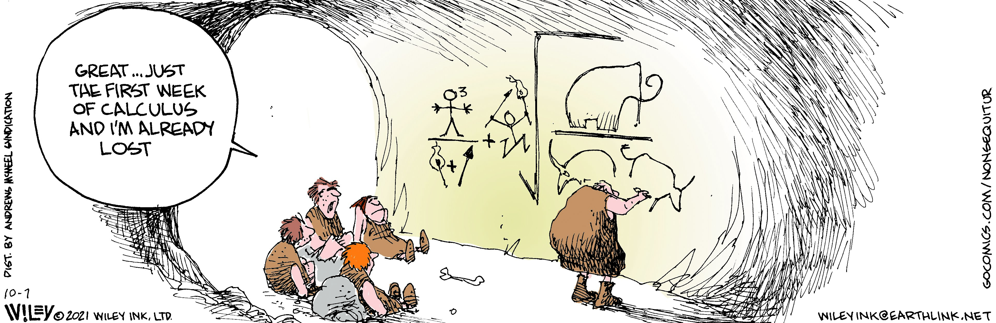 Non Sequitur by Wiley Miller