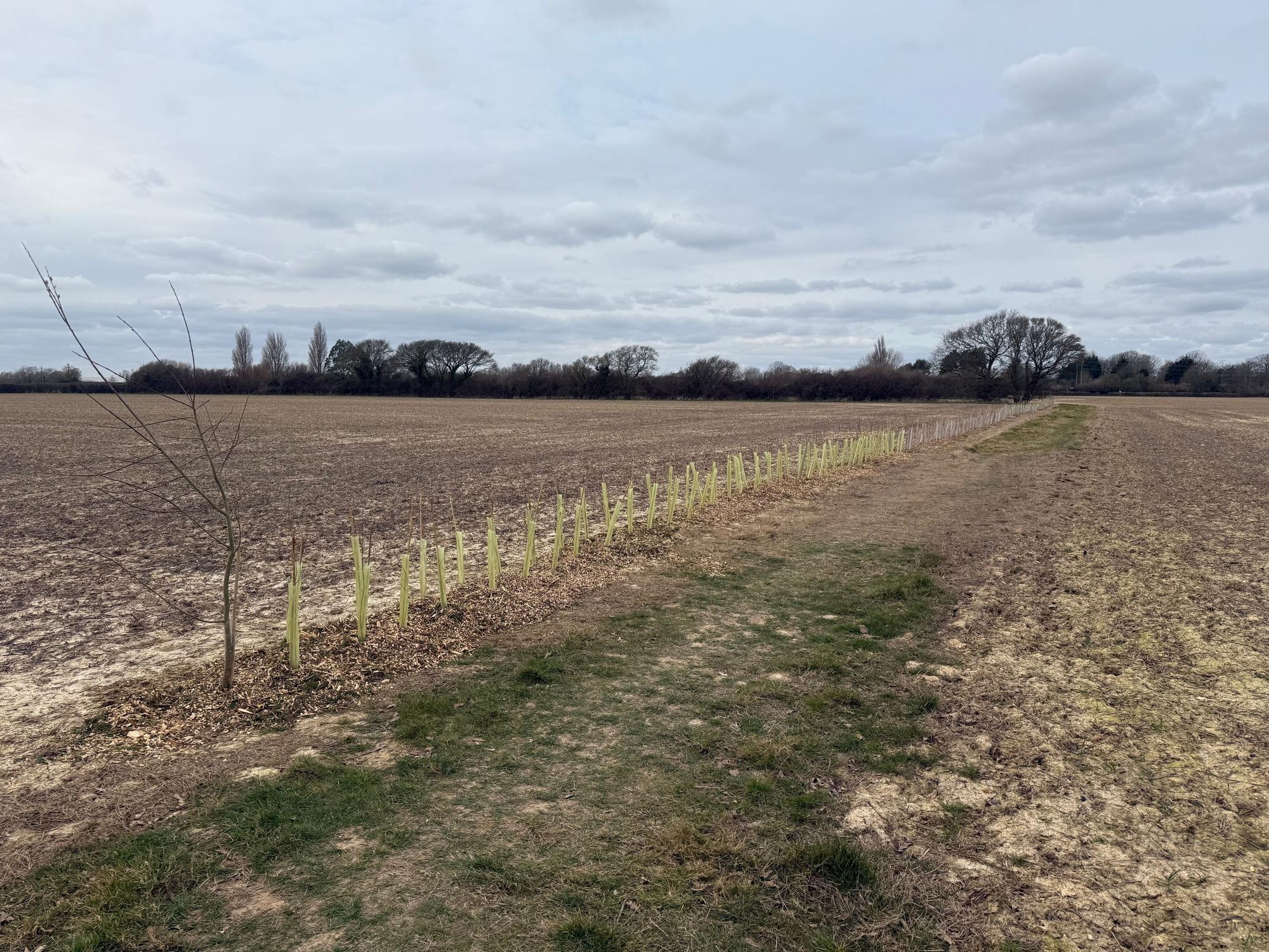 New Hedgerow Heroes project