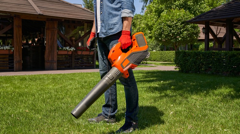 Can You Use Premium Gas In A Leaf Blower? Here's What Happens If You Do