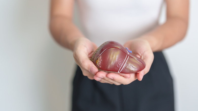 The Vital Human Organ That Can Miraculously Regenerate