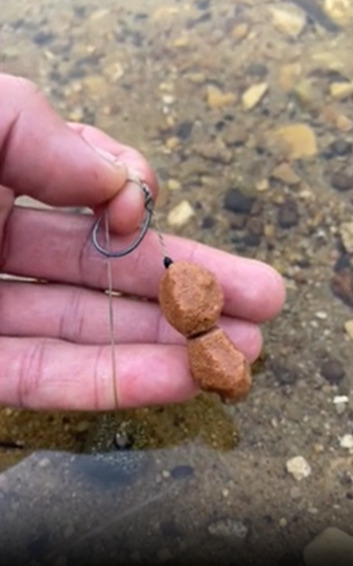 The Mystery Behind the Missing Boilies