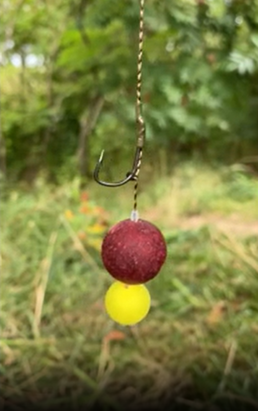 Epic Carp Fishing Highlights