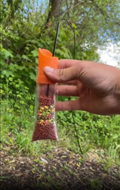 The Viral Carp Fishing Showdown