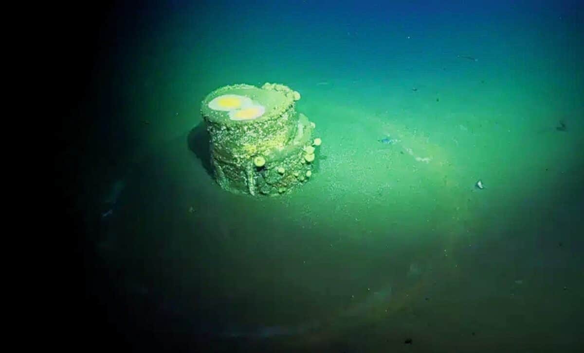 50 Years After Being Dumped off California, These Barrels Are Leaking a ...