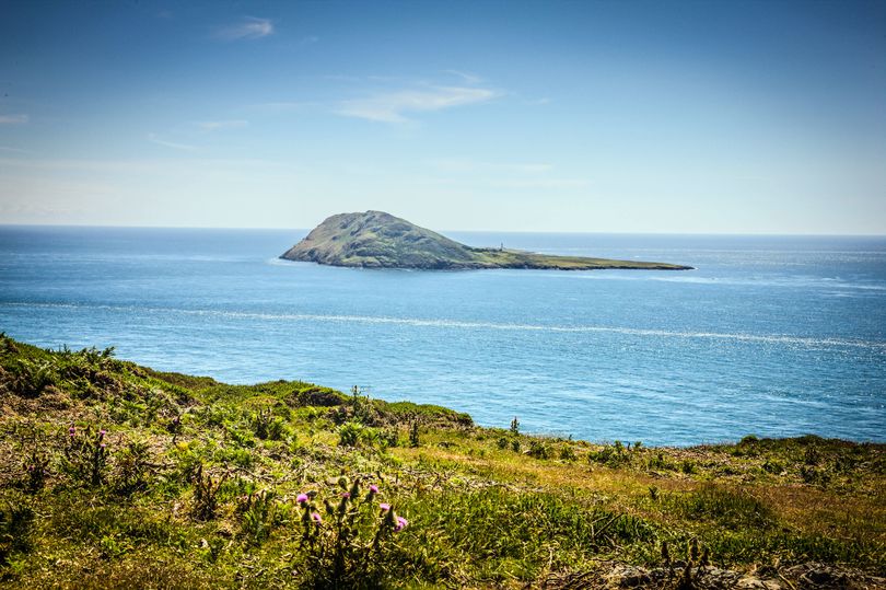 Remote island with more sheep than people and no electricity needs new ...