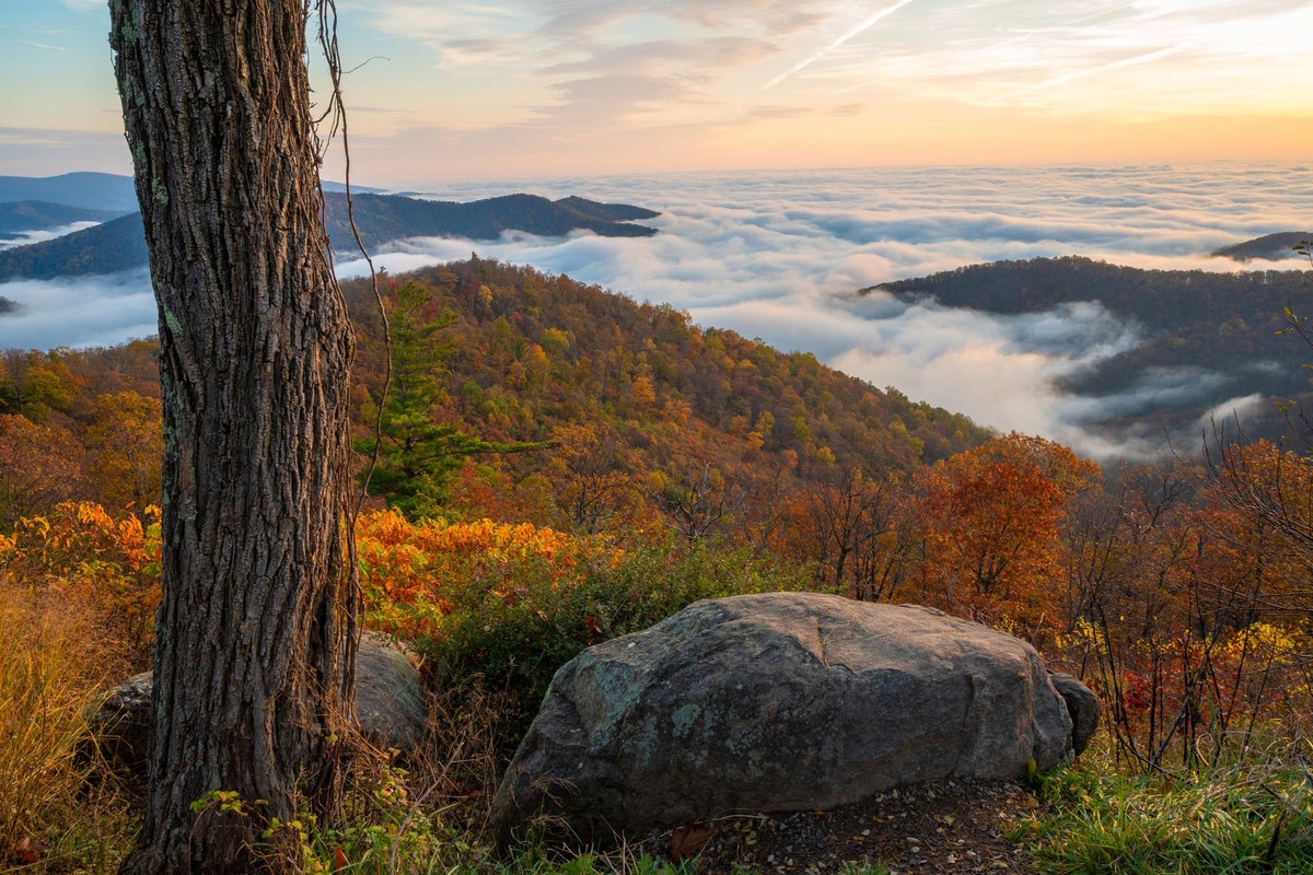 Virginia from mountains to coast: A slow road trip through peaks ...