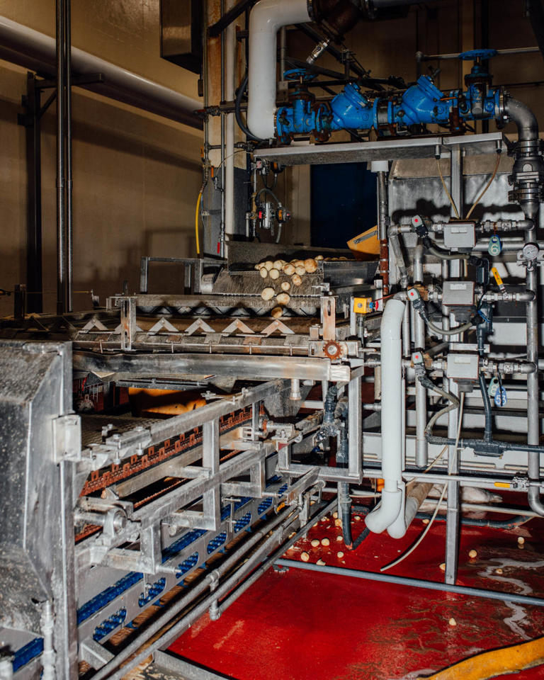 Lay’s Chips Are Getting a Makeover for the MAHA Era