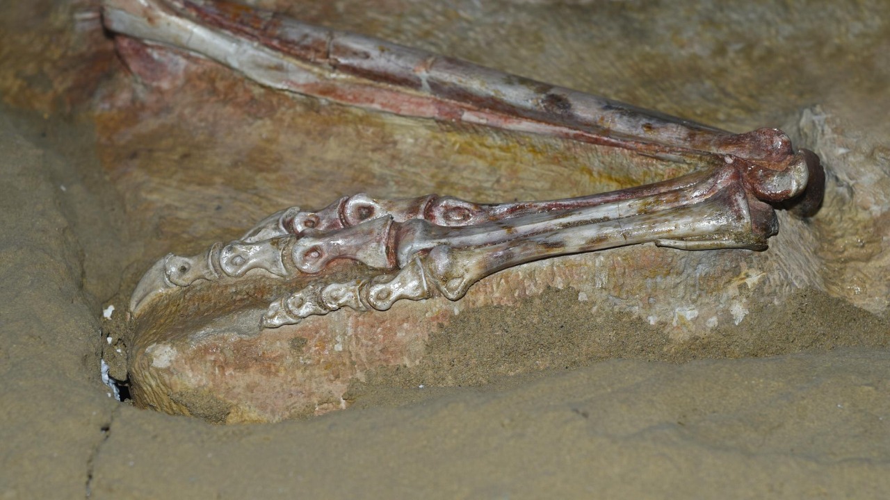 Ice Age bones from 75,000 years ago reveal a lost ecosystem